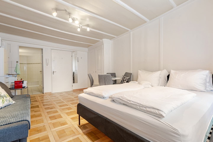 Central Zürich Apart. 5 Min To Train · Walkable - Zürich