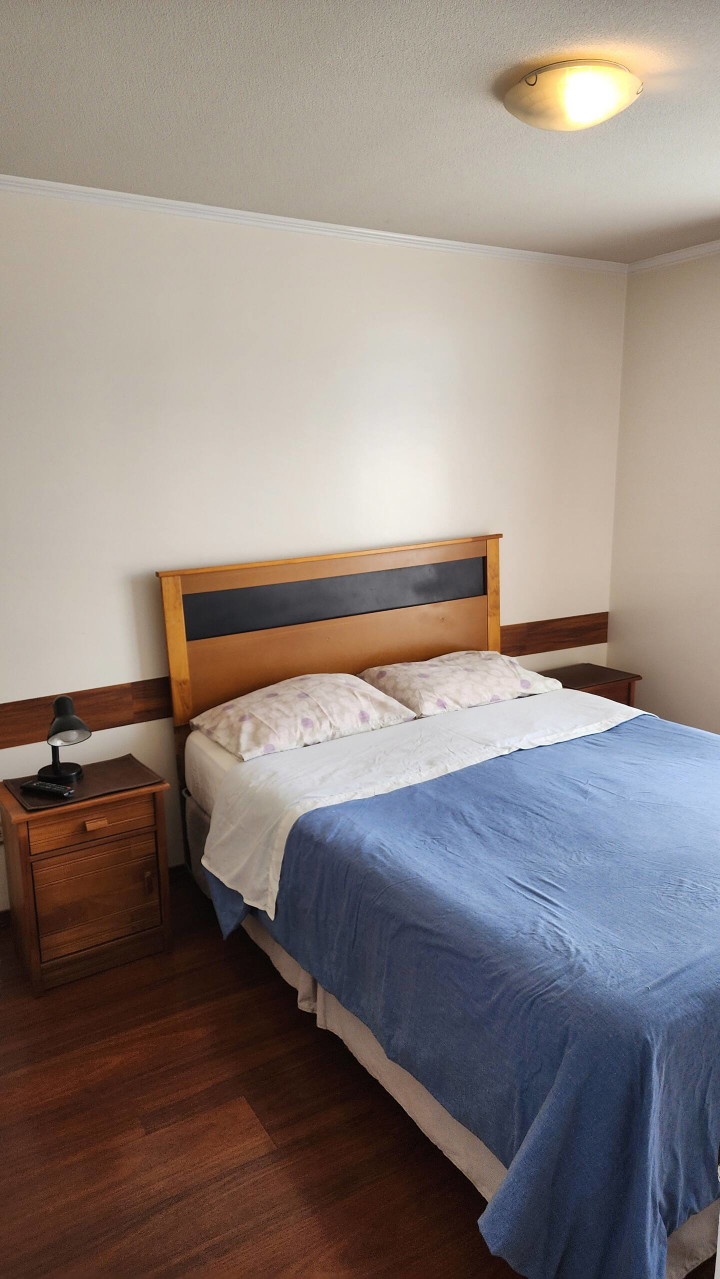 Close To Downtown And Metro-1015 - Santiago