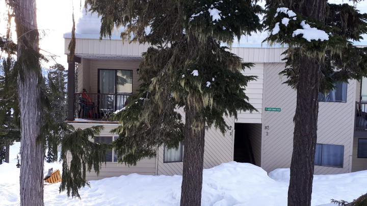 Welcome To Our Mt Washington Alpine Townhome - Mount Washington