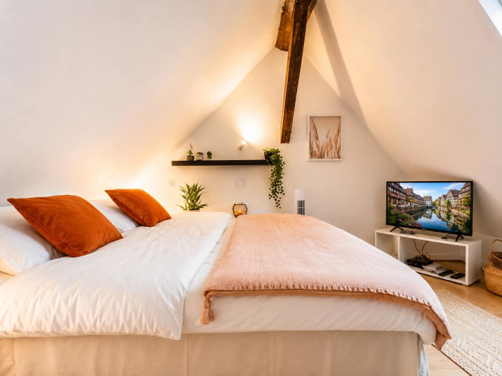 Appartement Vue Cathédrale/cœur Du Marché De Noël - ストラスブール