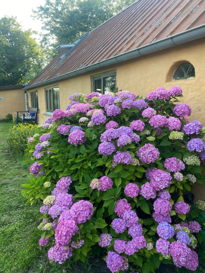 The House In Another World - Denmark