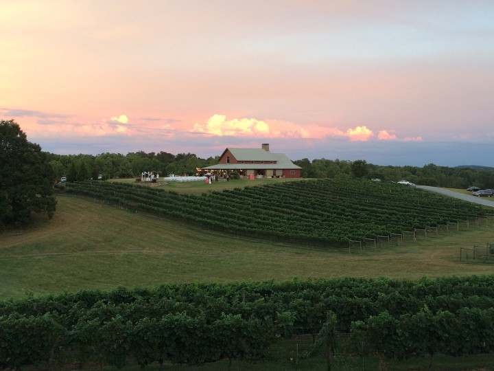 One Bdrm Cabin Lodging Walk To Cenita Tasting Room - Cleveland, GA