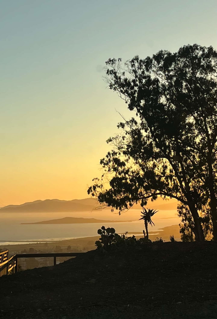 Bay View King Apartment A - Berkeley, CA