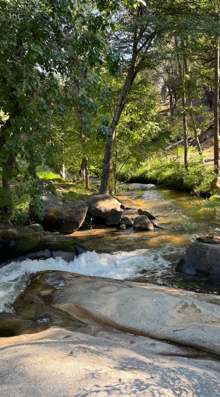 Yosemite Creekside Cabin Oakhurst/bass Lake Pet Ok - Oakhurst, CA