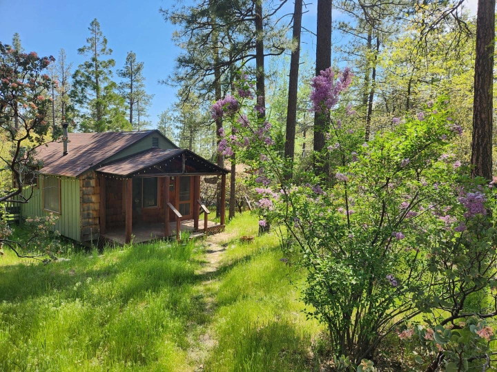 Cozy Cabin A Short Walk From Town Center - Idyllwild-Pine Cove, CA