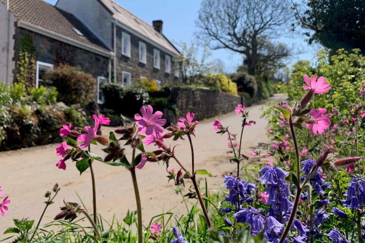 1 Bed Self Contained Annex In Rural Valley - Guernsey