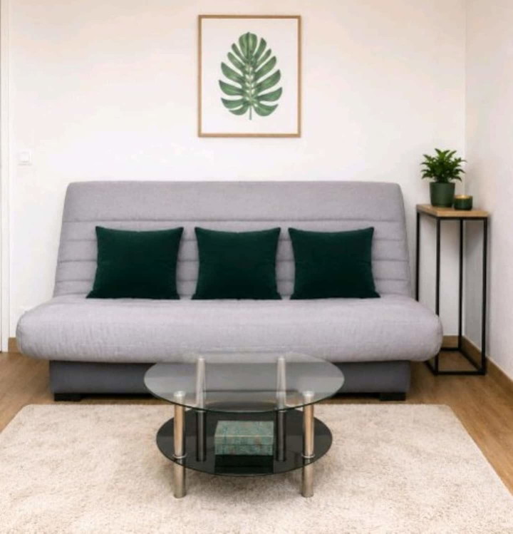 Appartement A Vierzon Avec Parking Privatif - Vierzon