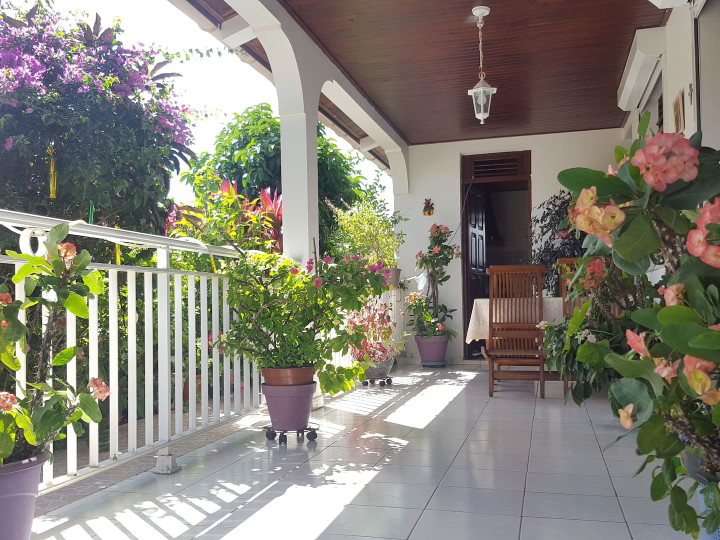 L'oiseau De Paradis - Martinique