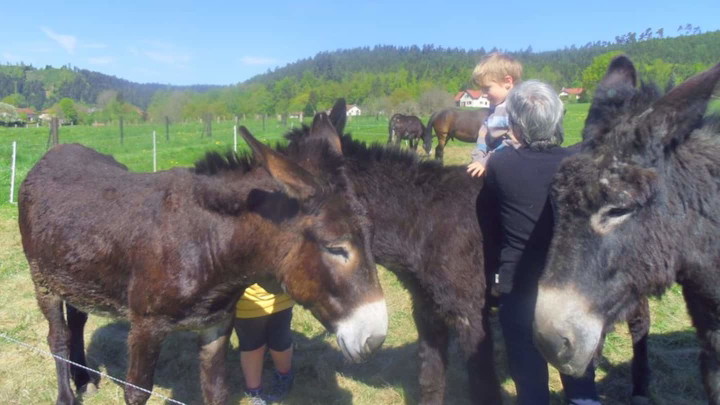 20 Mn St Dié/gérardmer, Gite Nature , Ferme Bio - Saint-Dié-des-Vosges