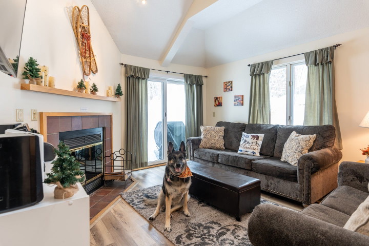 Killington 2br Loft: Spa, Pool, Jacuzzi & Dogs - Killington, VT
