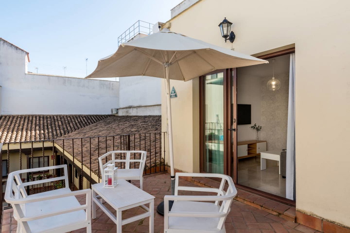 Two-bedroom Duplex With Terrace. Apartment With... - Camas
