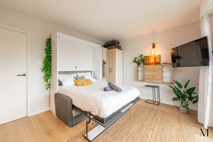 M013*charming Studio Near The Border - Geneva