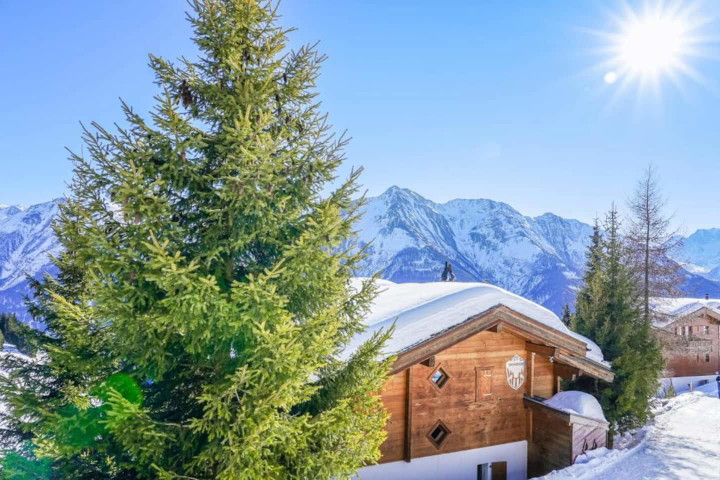 Chalet Mossegor - Bettmeralp