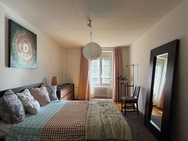 Spacieux Appartement - Genève