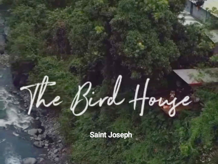 The Bird House éCo-cabane à La Rivière. - La Réunion