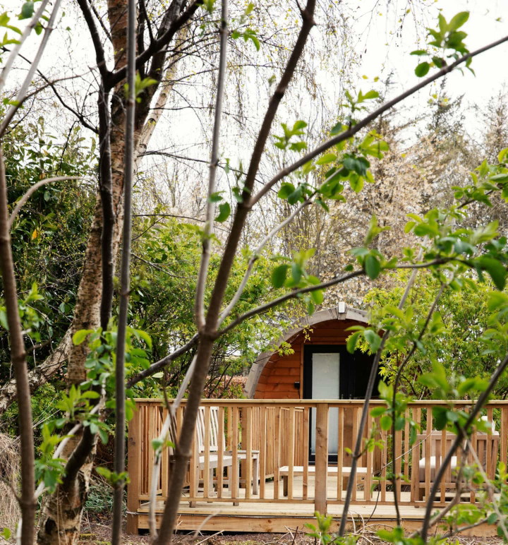 Papana Cabin, Luxury Retreat Near Edinburgh - East Lothian Council