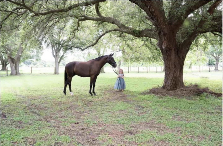 Rustic Oak Acres *Weddings*events*content*retreat* - Fort Myers, FL