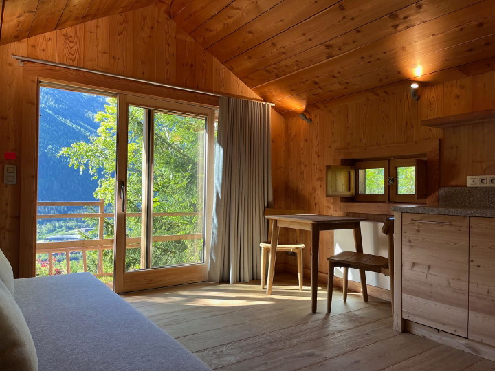 Cocoon Au Mont Blanc - Chamonix-Mont-Blanc