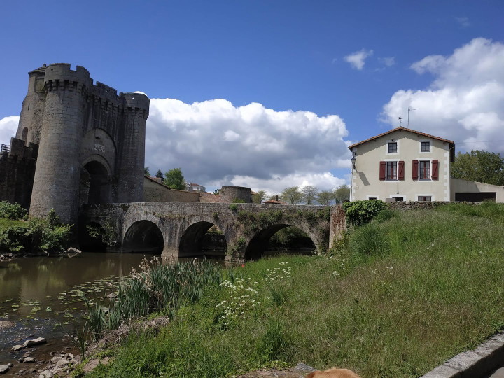 Gîte De La Tour Quartier Médiéval  Bord De Rivière - Parthenay