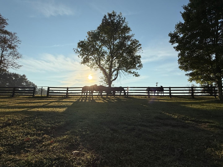 On The Rocks - Bardstown, KY