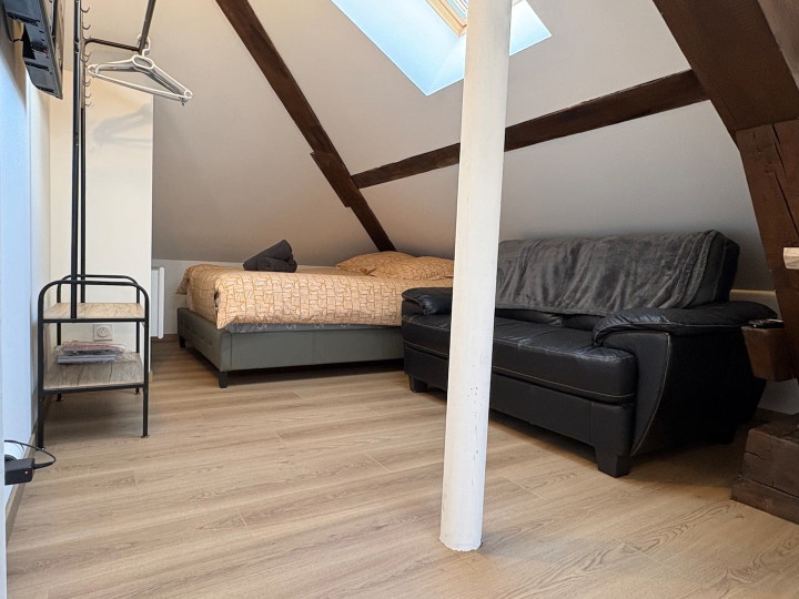 Downtown And Train Station Within Walking Distance: Quiet & Convenient Studio - Épinal