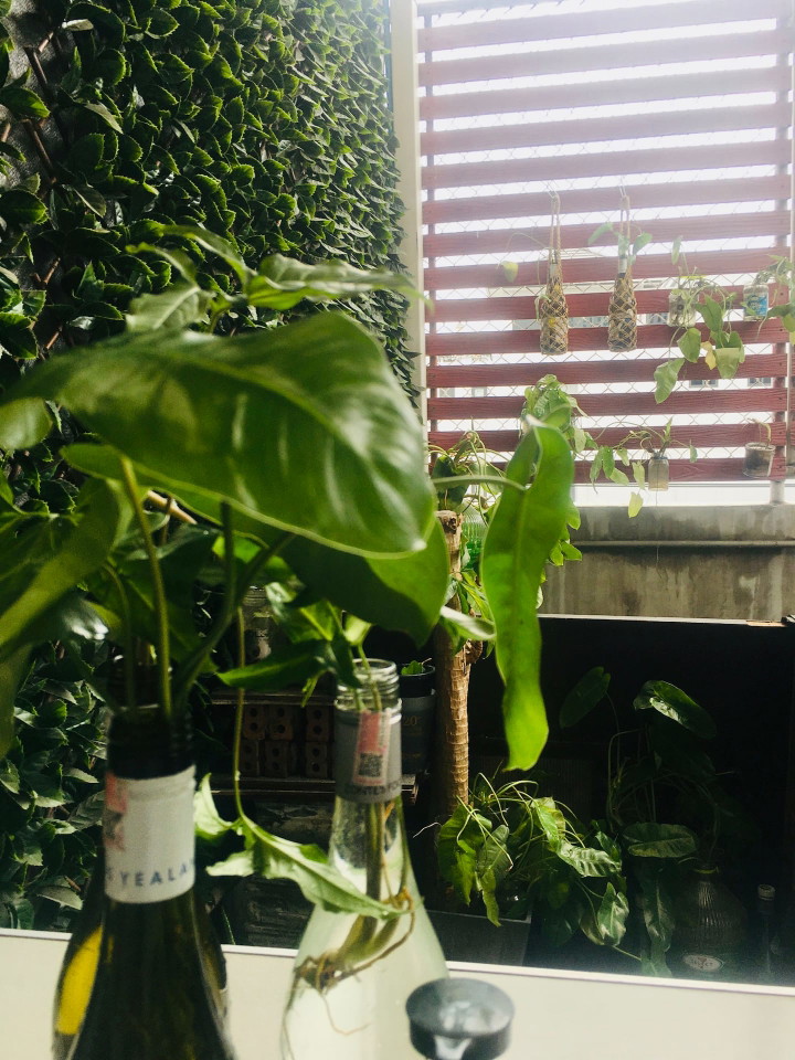 Rooftop Apartment In Bangkok Expat Town - Bangkok