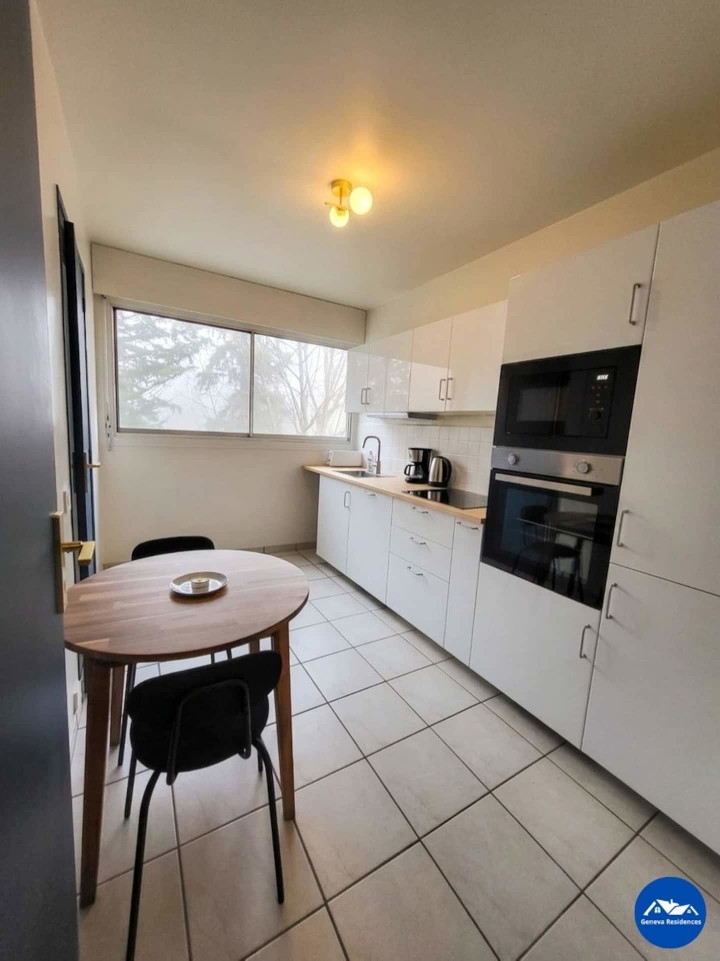 Stylish Renovated Apartment  In Ferney-voltaire - Ferney-Voltaire