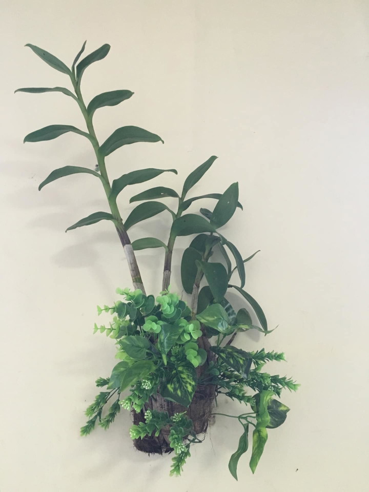 位于科罗州最中心的商业区，生活便利，离最大的Wctc 超市仅3分钟 - Palau