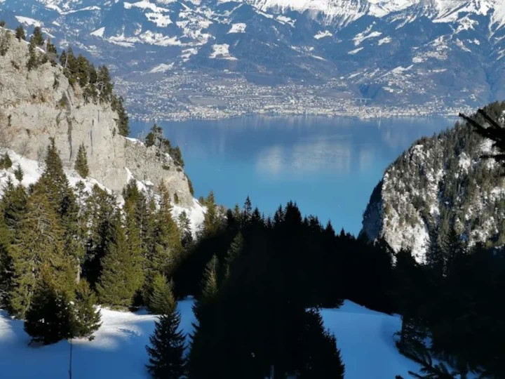 Montagne/ski/raquettes /Marché De Noël/léman/hiver - Lake Geneva