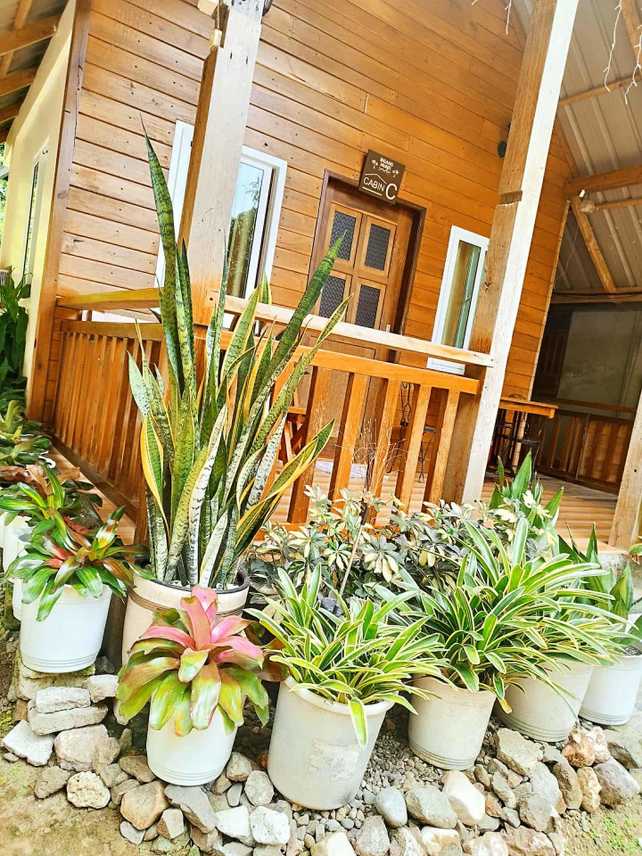 Cabin C At Bigang Munti Beach Resort - Lobo