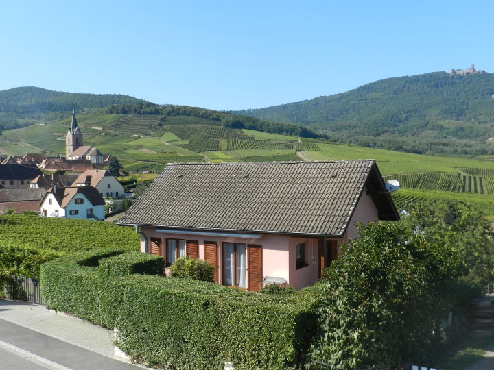Gîte Pinot Noir - Bergheim, France