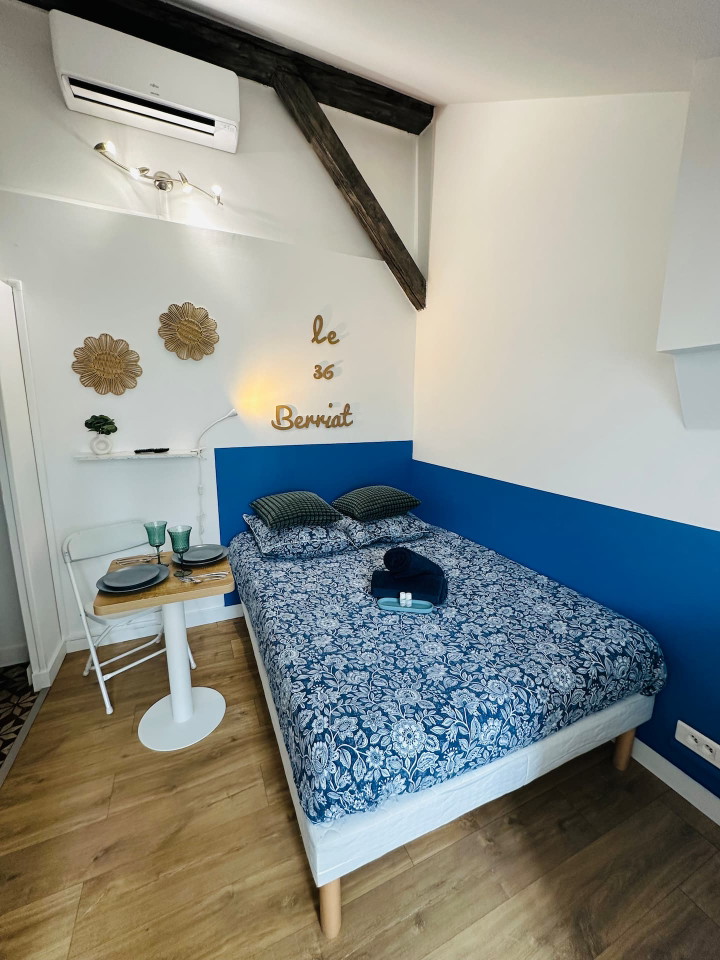 Le 36 Berriat  A/c  Train Station & Downtown Within Walking Distance - Grenoble
