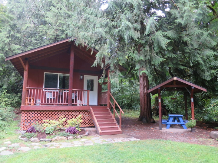 Cozy Creek-side Cabin. - Monroe, WA