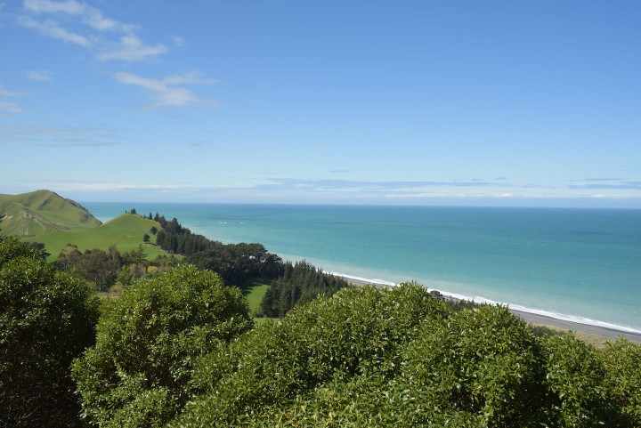 Ellerton Bottle House - New Zealand