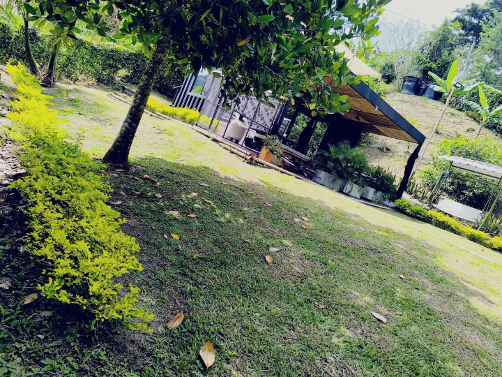 Origenes E-kubo Chalet / Place - Risaralda