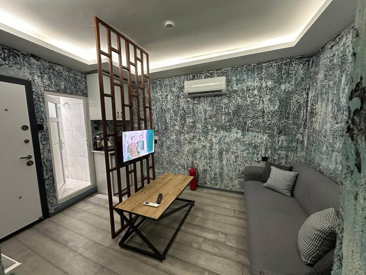 Clean 1+1 Daily Rental Apartments In Bursa Center - Bursa