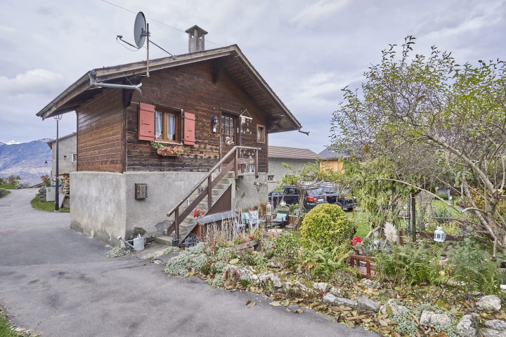Pelota In Fenalet Sur Bex - Leysin