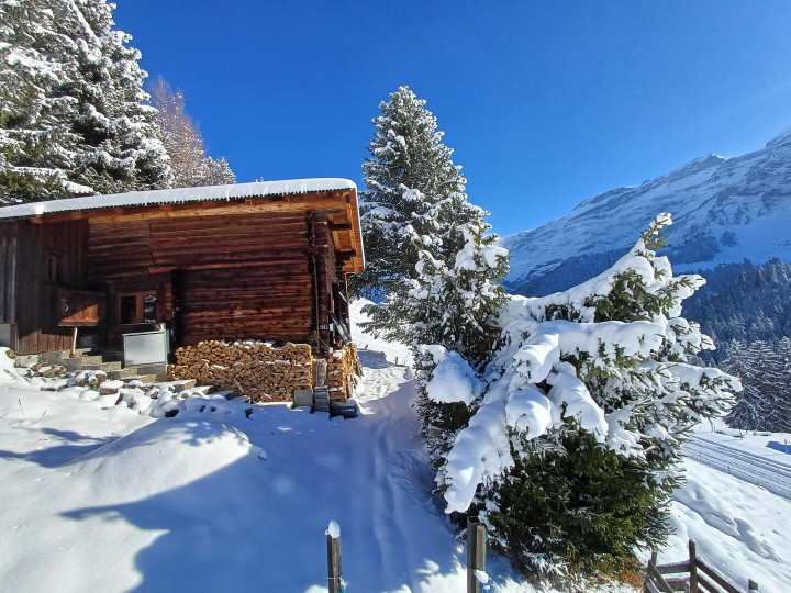 Little Corner Of Paradise In The Middle Of The Mountains! - Les Diablerets