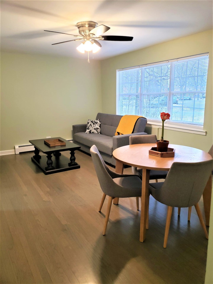 Newly Renovated, Safe, 1 Bdrm, Self Check-in - Des Plaines, IL