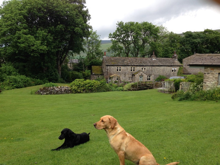 Cosy Self Contained Annexe To The Farmhouse. - Grassington