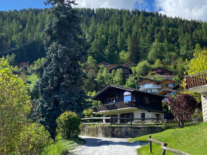 Charmant Chalet Avec Vue Imprenable - Thyon