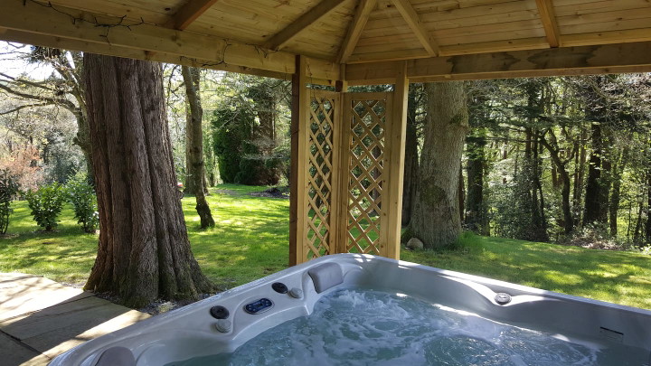 Chalet With Large Jacuzzi Relaxing Wicklow Retreat - Wicklow