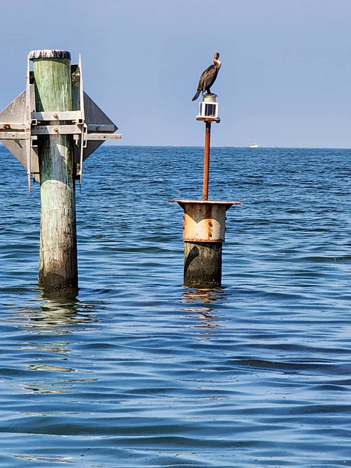902 B Historical Beachfront Sauna Hot Tub Specials - Norfolk, VA