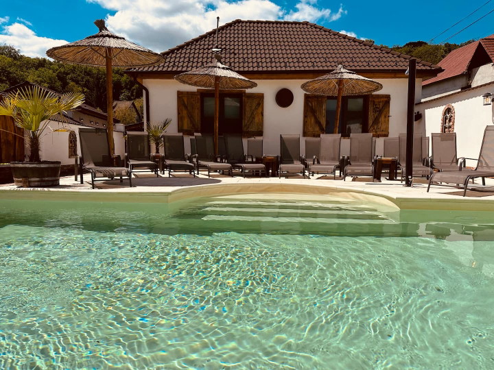 Holiday Complex, 18 Guests, Pools, Sauna & Hot Tub - Romania