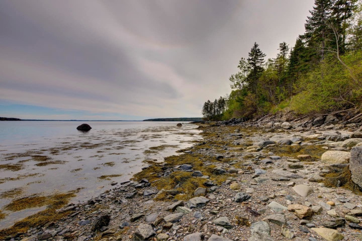 Oceanfront Water View Spruce Chalet At Shore Haven - Bar Harbor, ME
