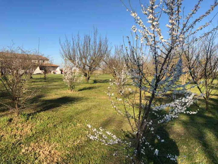 Le Camarguais - Camargue