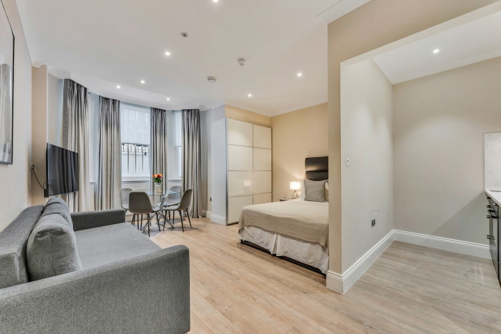 Daylight Family Studio With A/c, Lg Level, Chelsea - Chelsea