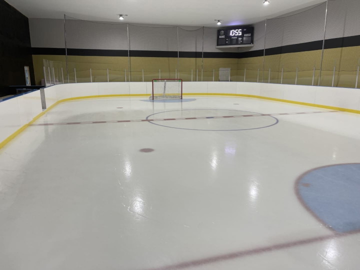 Custom Home, With Indoor Ice Hockey Rink. - Peterborough, ON, Canadà