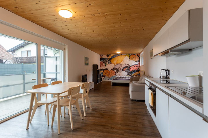 Flex_butterfly_home_your Central, Calm+cosy Place - Dornbirn