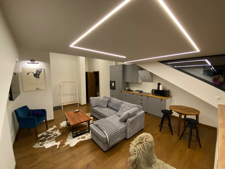 Museum Apartment - Lithuania